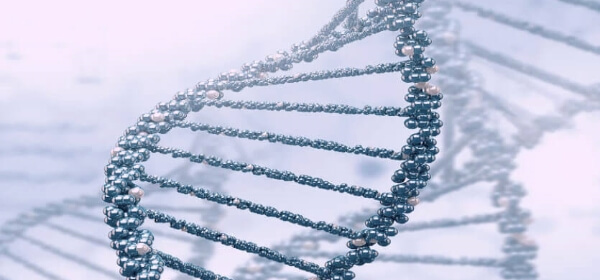 GeneID Preventest (Hereditary Cancer Screen) - Women's Clinic of South ...